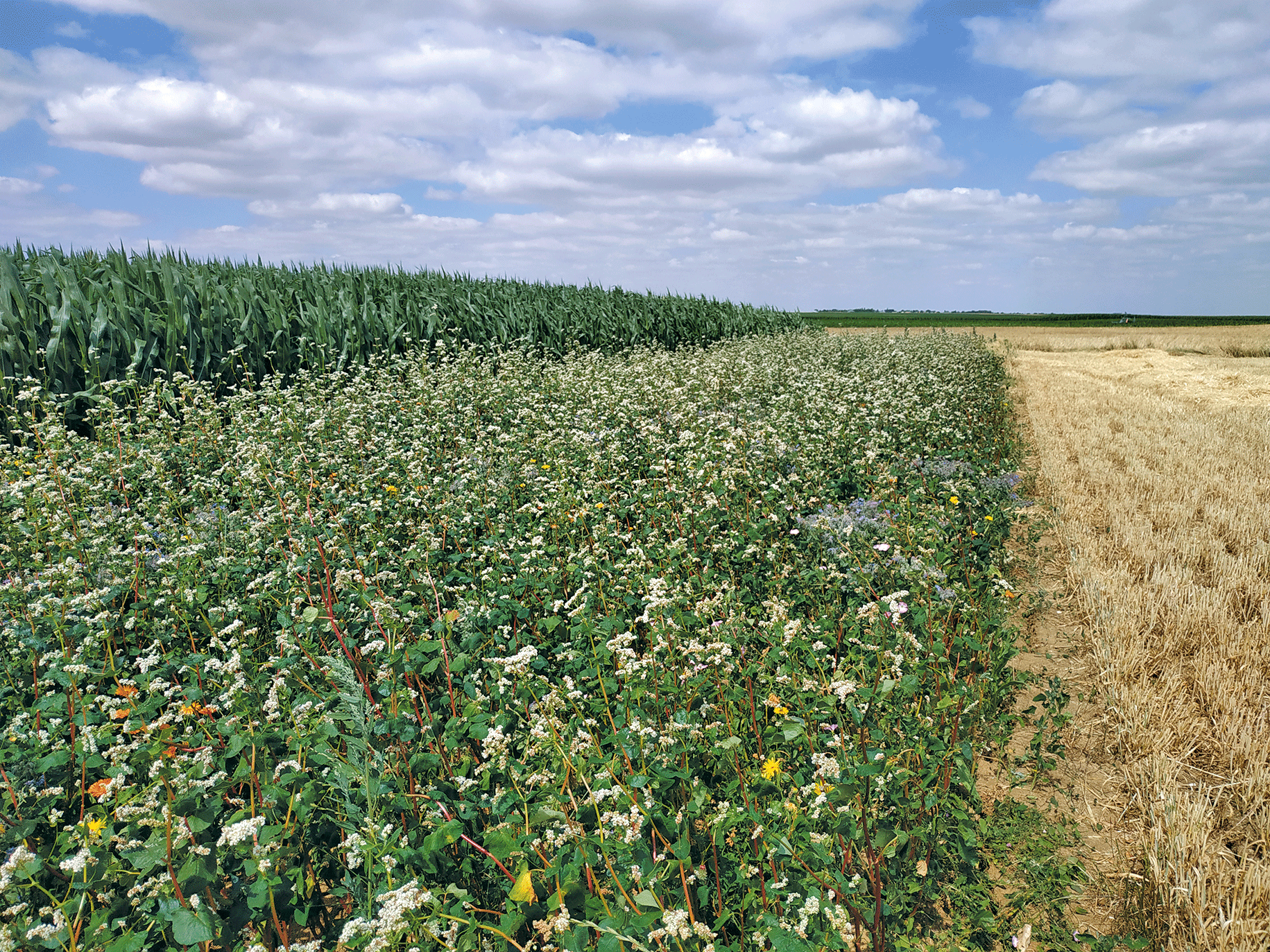 Crédit photo : Association Hommes et Territoires.